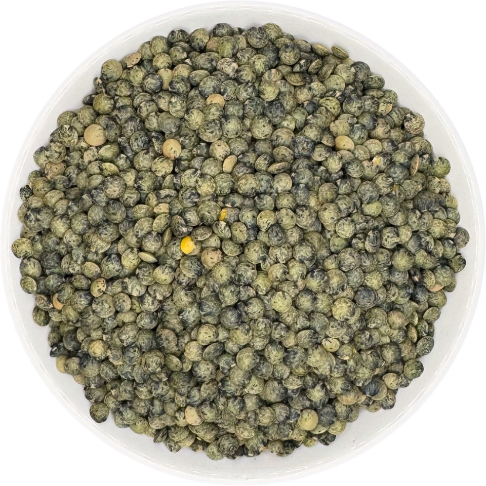 French (Puy) Lentils Supplier – TFB Trading