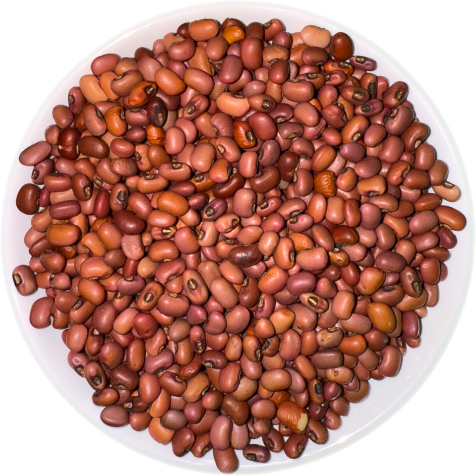 Red Caloona Cow Pea Supplier – TFB Trading